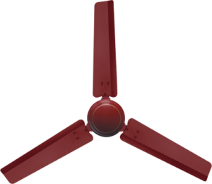 Quality Fans - Sujata Appliances